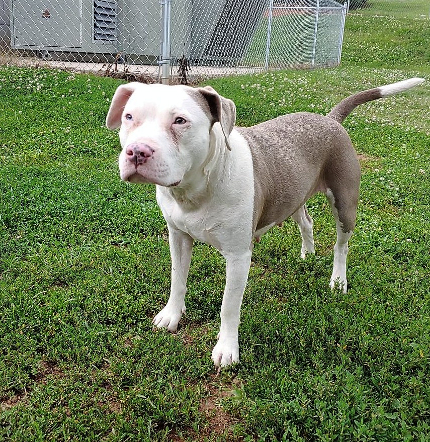 Robyn | Passion 4 Paws
